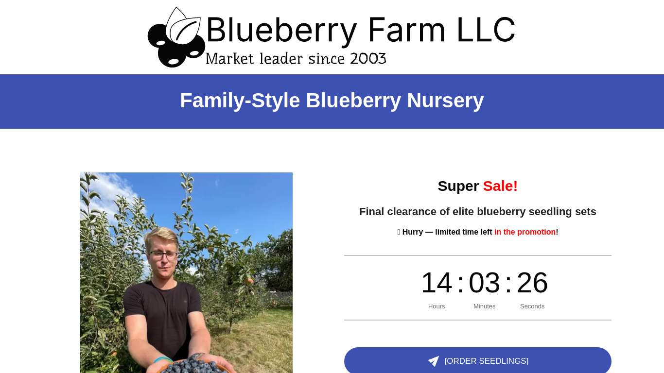 Blueberry Bushes – Final Sale!